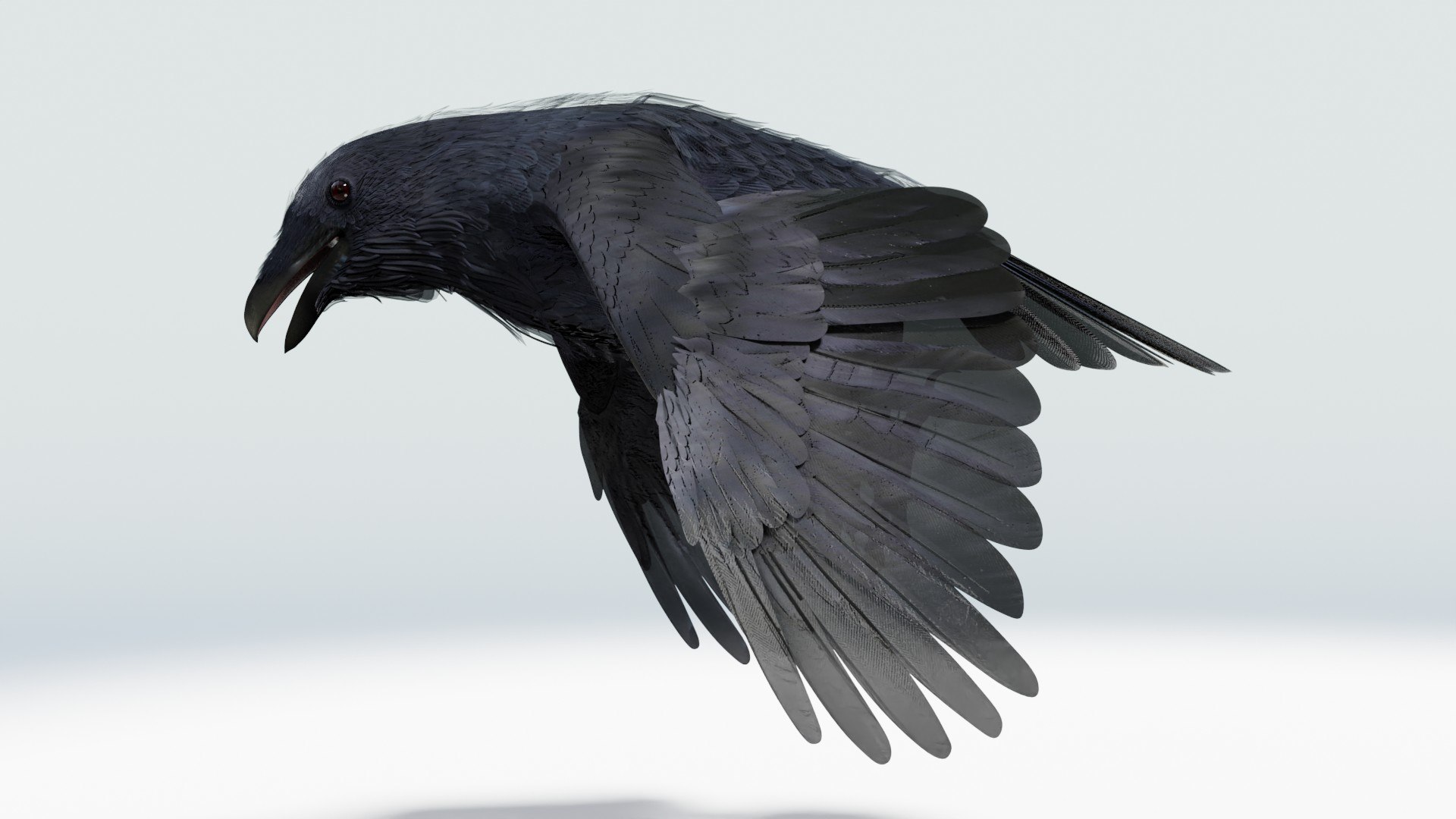 3D CROW - BLENDER model - TurboSquid 1937131
