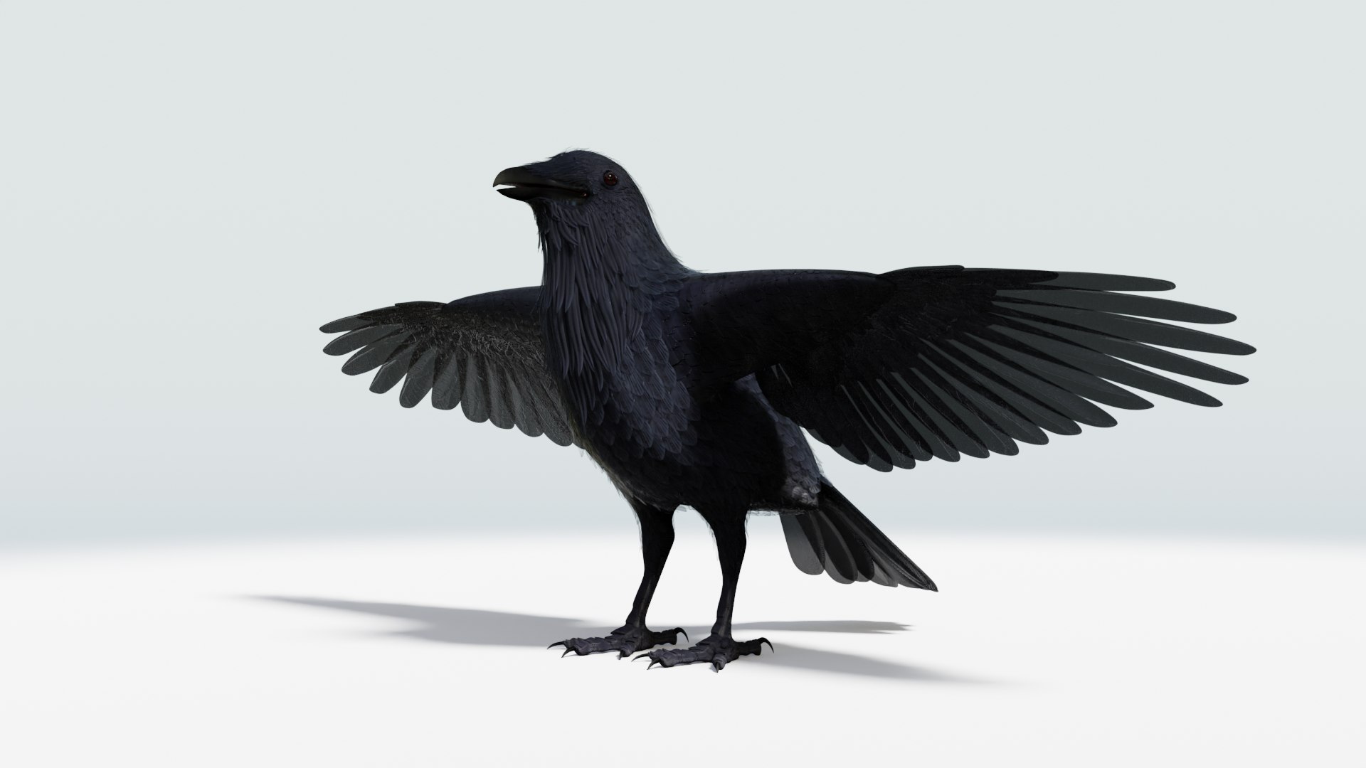 3D CROW - BLENDER model - TurboSquid 1937131