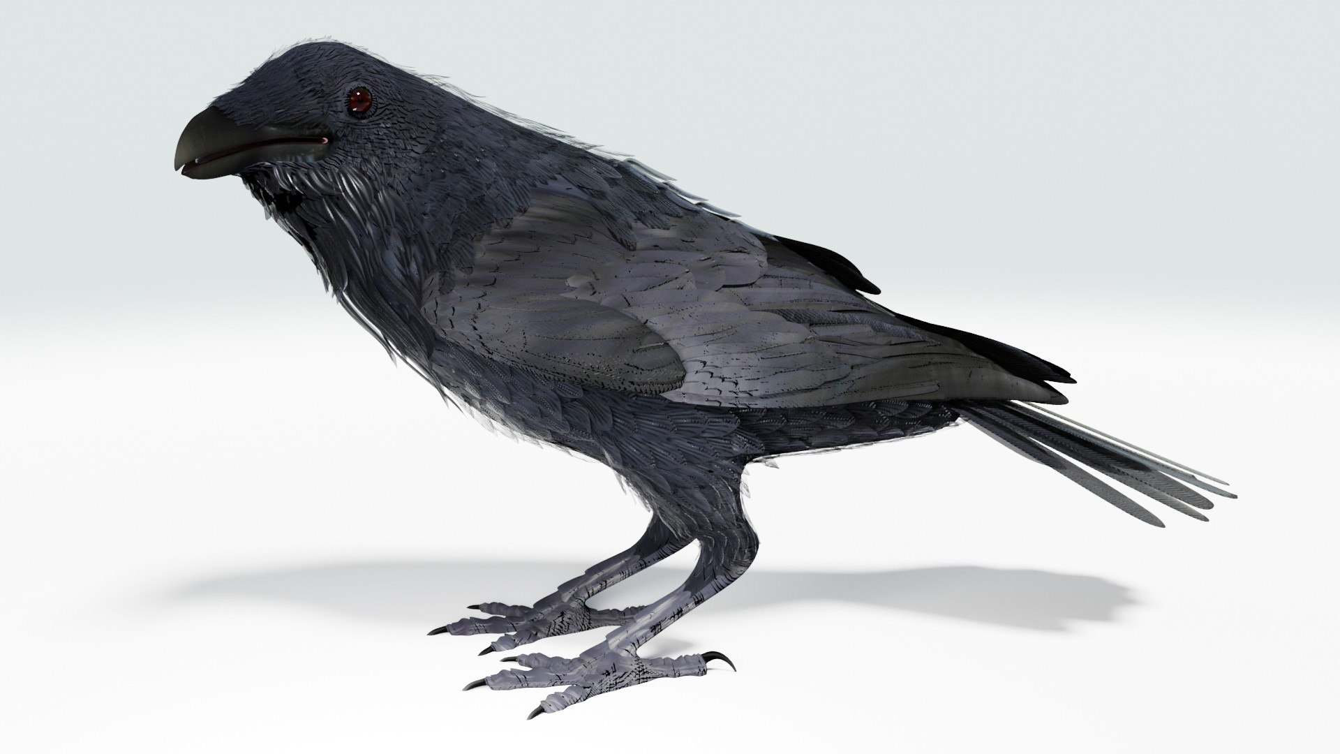 3D CROW - BLENDER Model - TurboSquid 1937131
