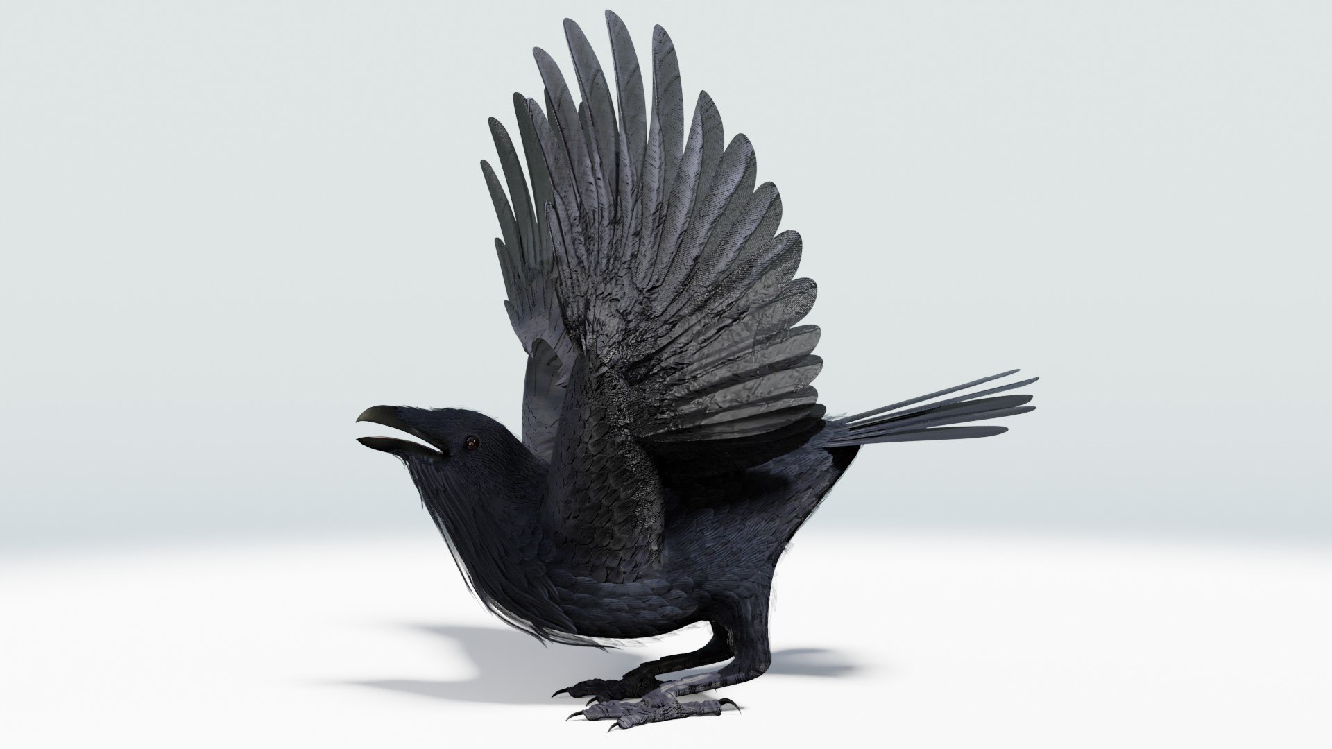 3D CROW - BLENDER model - TurboSquid 1937131