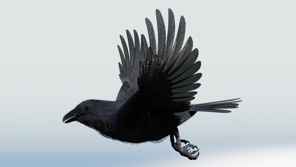 3D CROW - BLENDER model - TurboSquid 1937131