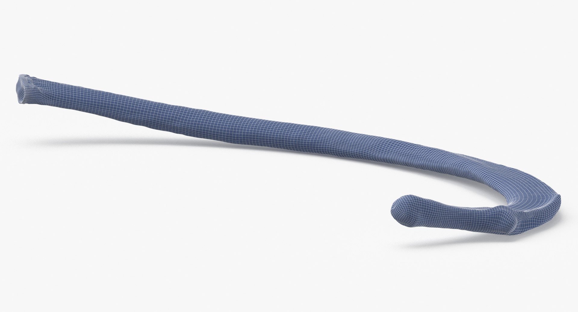 3D Model Kangaroo Red Necked Wallaby Rib T4 - TurboSquid 2069482