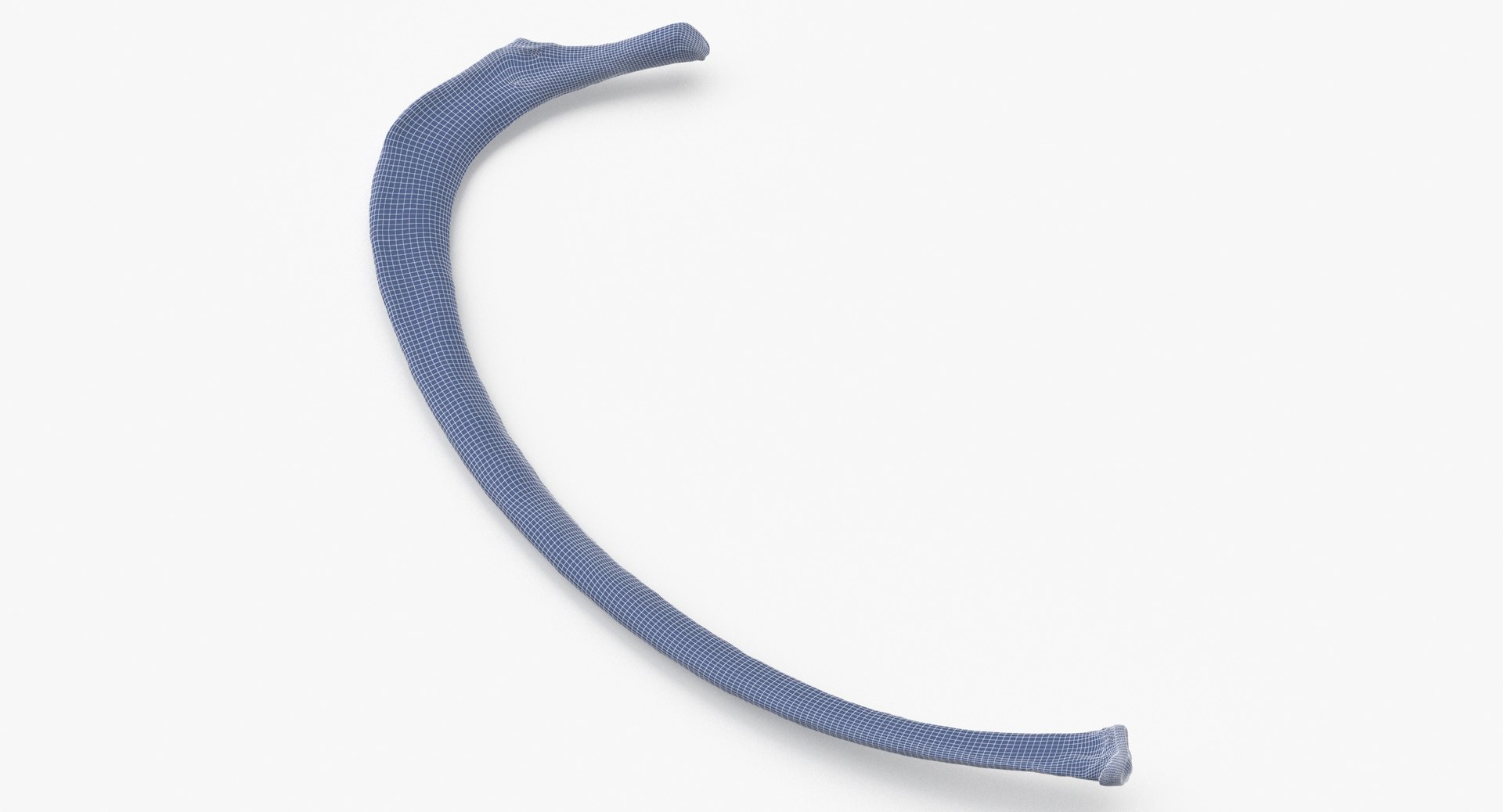 3D Model Kangaroo Red Necked Wallaby Rib T4 - TurboSquid 2069482