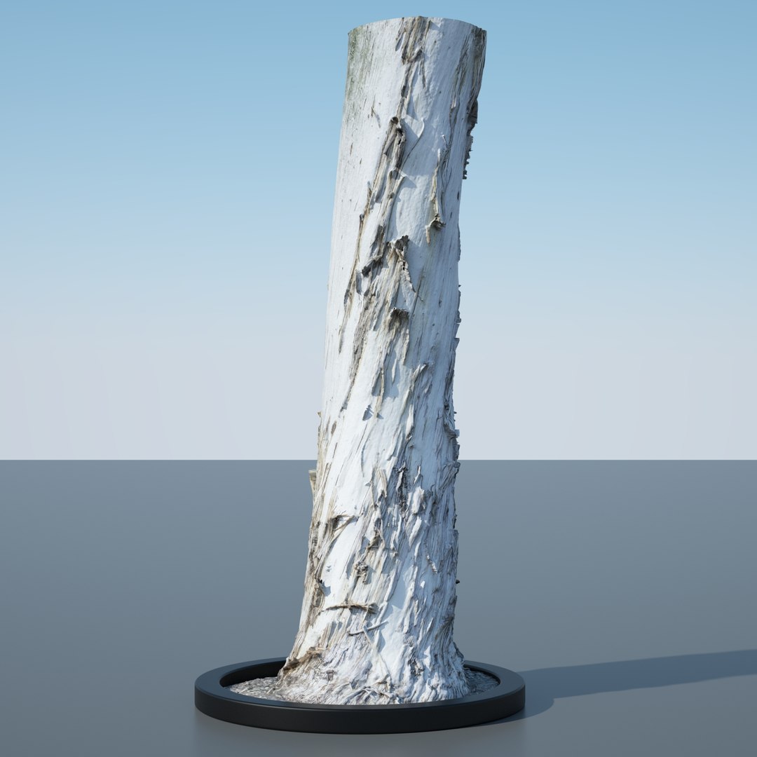 Tree Trunk - 3D - TurboSquid 1527845