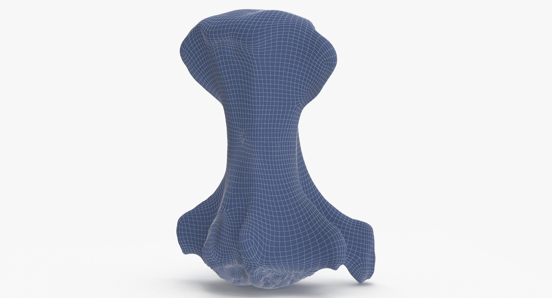 3D Kangaroo Red Necked Wallaby Caudal Vertebrae Cd2 - TurboSquid 2066568