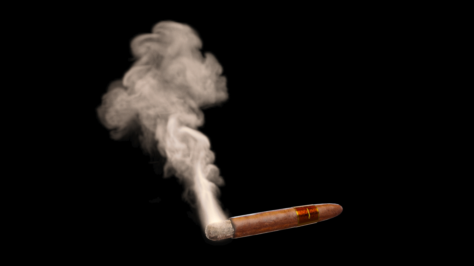 3D Cigar With VDB Smoke Animation - TurboSquid 2148760