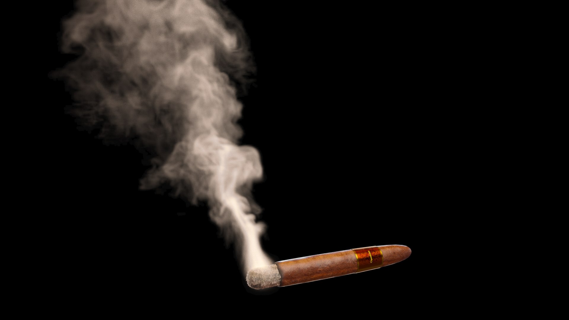 3D Cigar With VDB Smoke Animation - TurboSquid 2148760