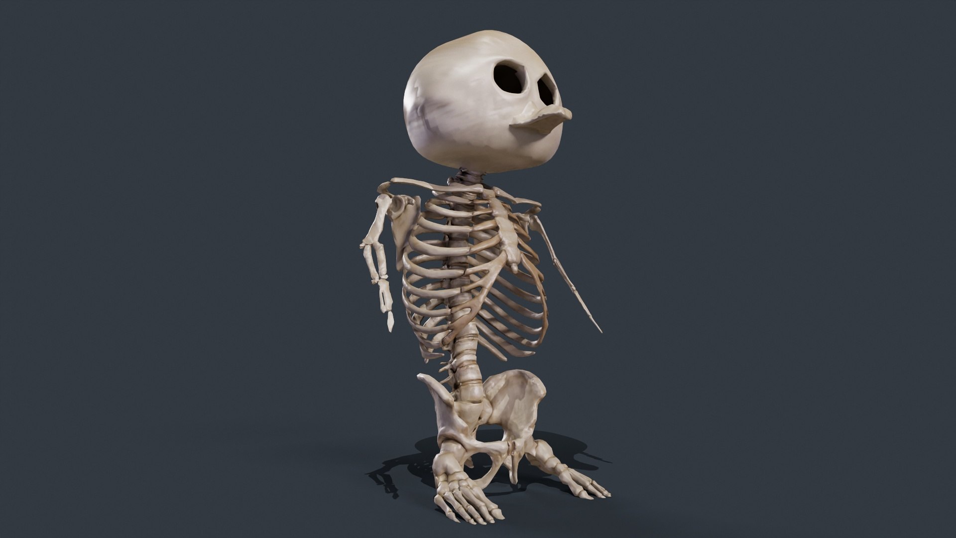 3D Penguin Skull Model - TurboSquid 2178037