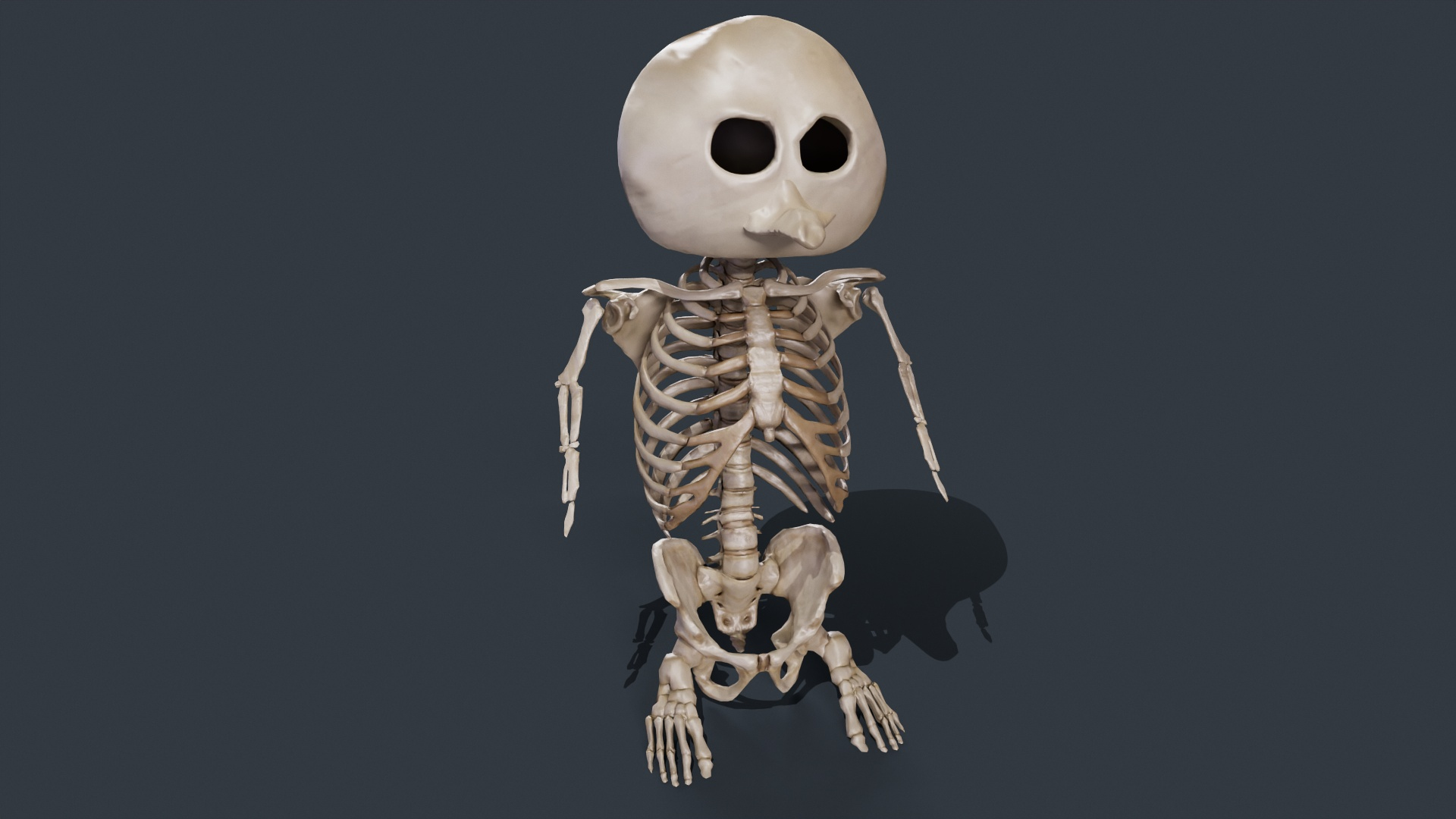 3D Penguin Skull Model - TurboSquid 2178037