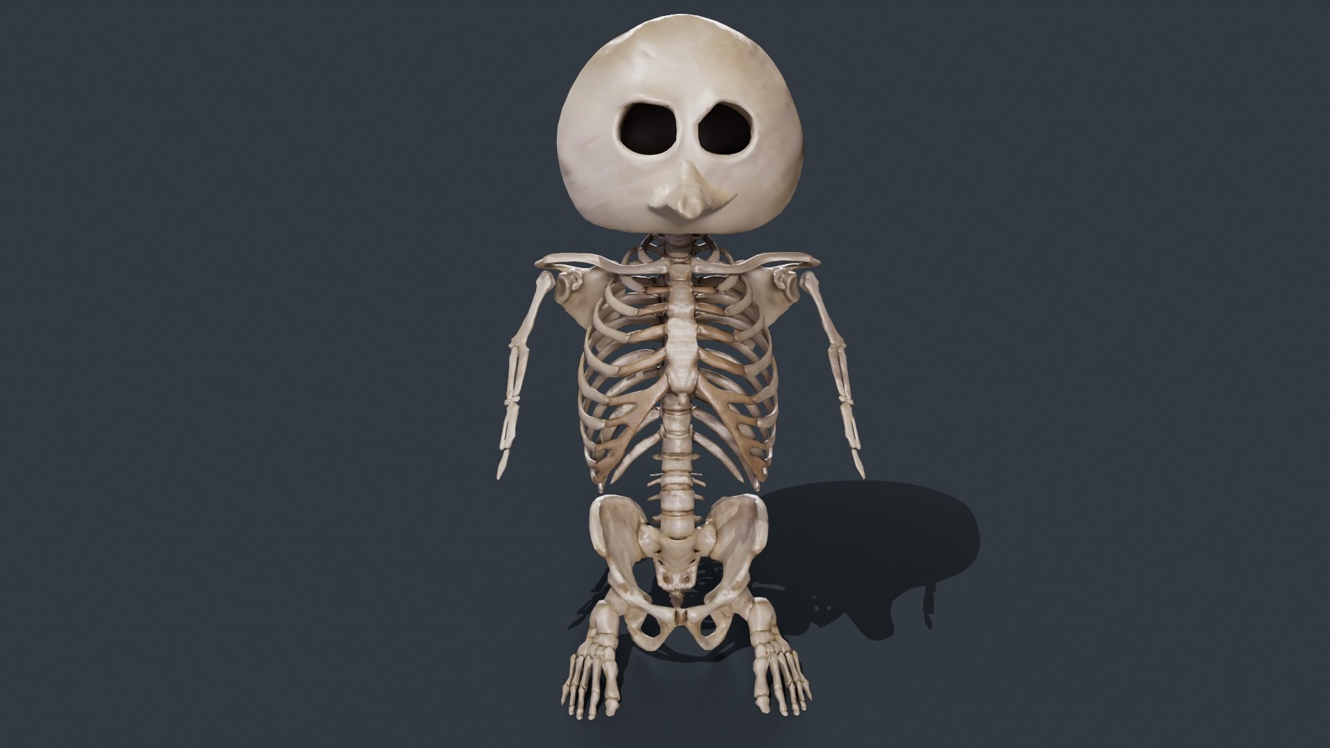 3D Penguin Skull Model - TurboSquid 2178037