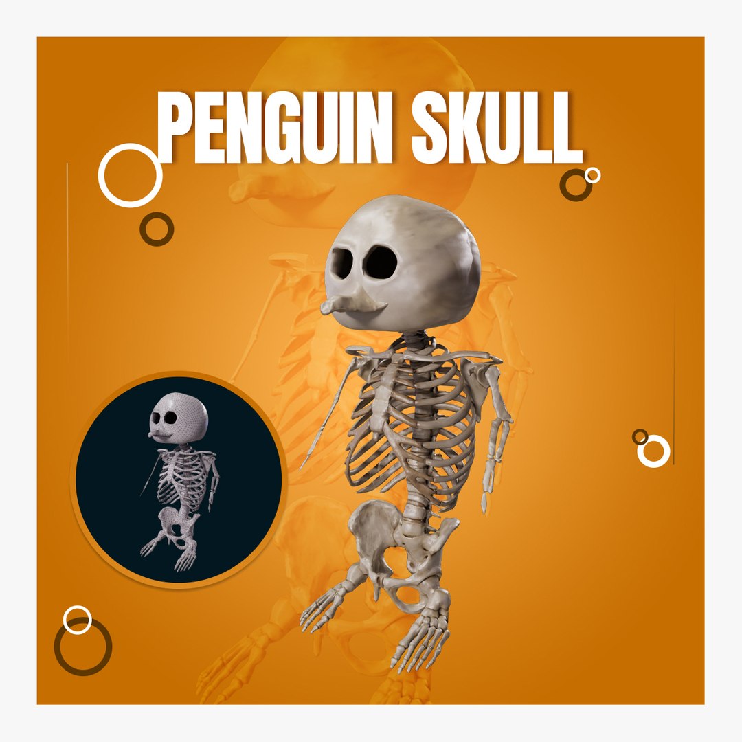 3D Penguin Skull Model - TurboSquid 2178037