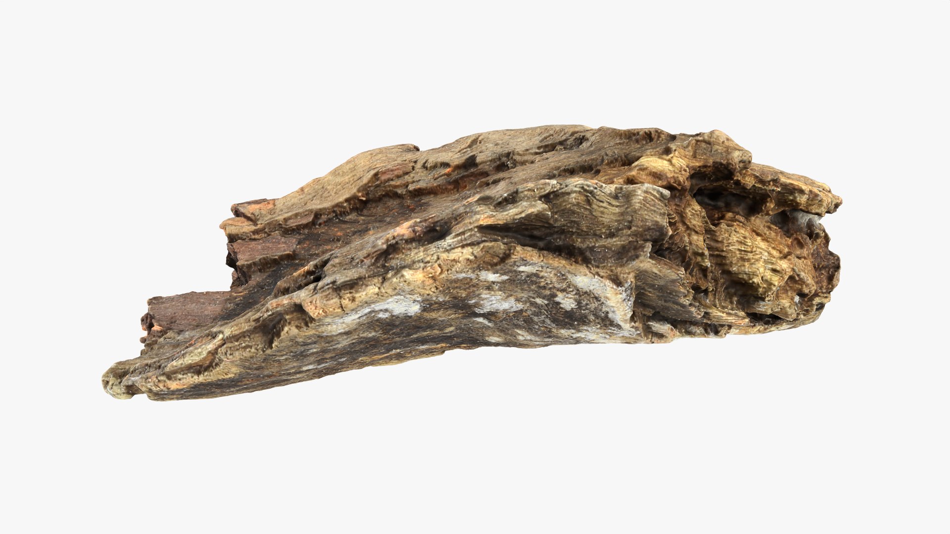Tree Trunk Piece 13 3D Model - TurboSquid 2509783