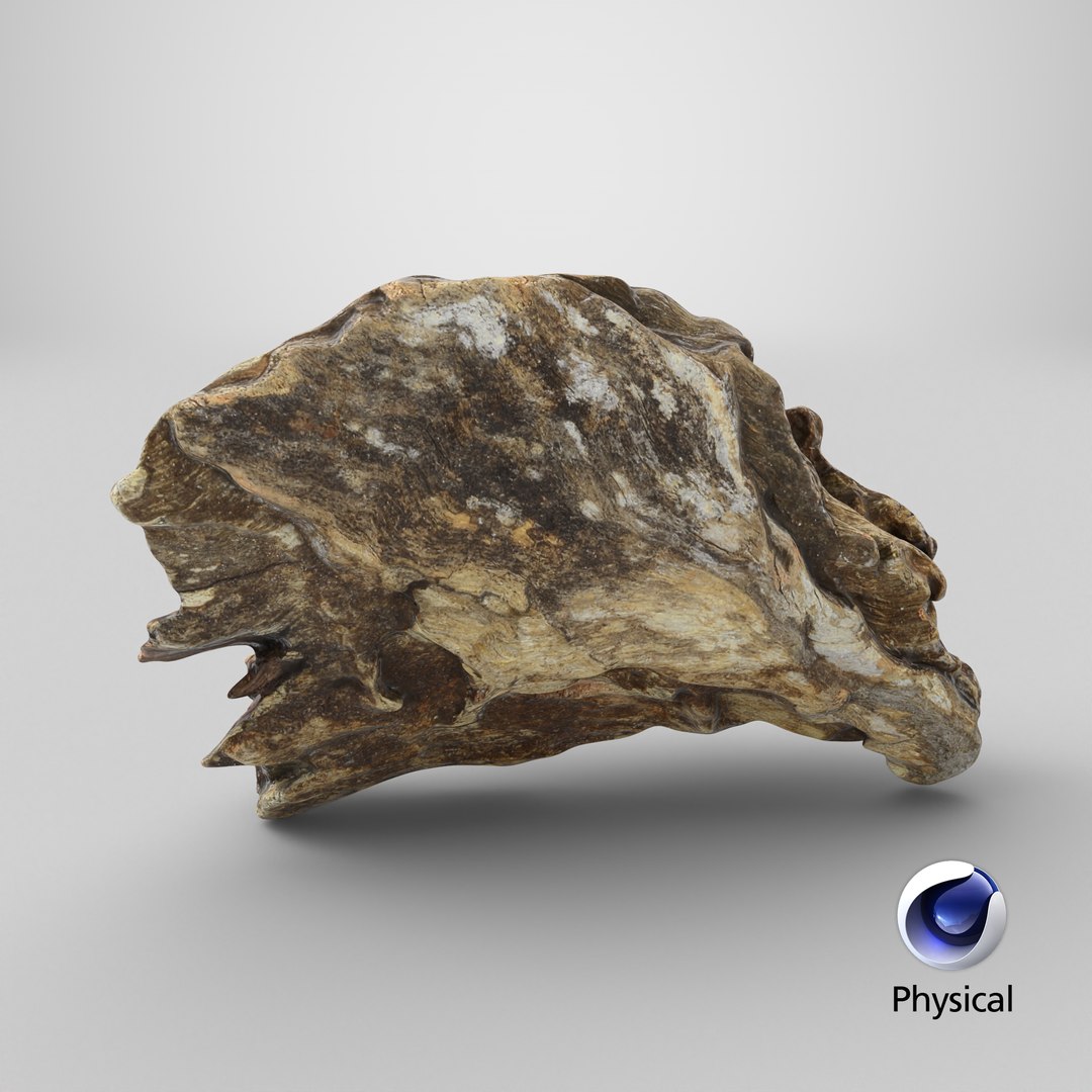 Tree Trunk Piece 13 3D Model - TurboSquid 2509783