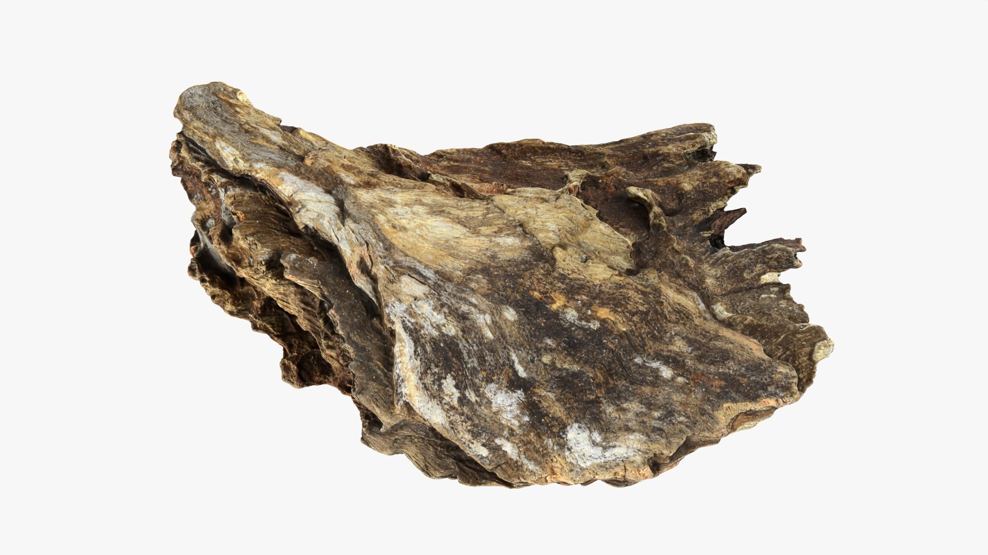 Tree Trunk Piece 13 3D Model - TurboSquid 2509783