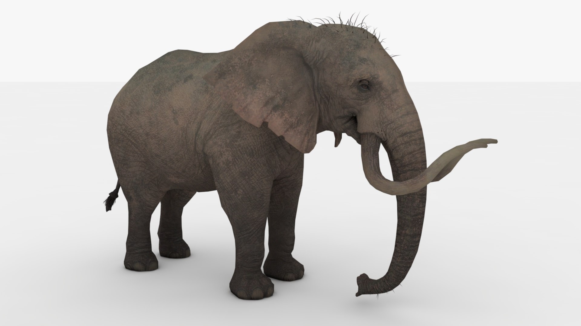 3D Elephant Model - TurboSquid 2366085
