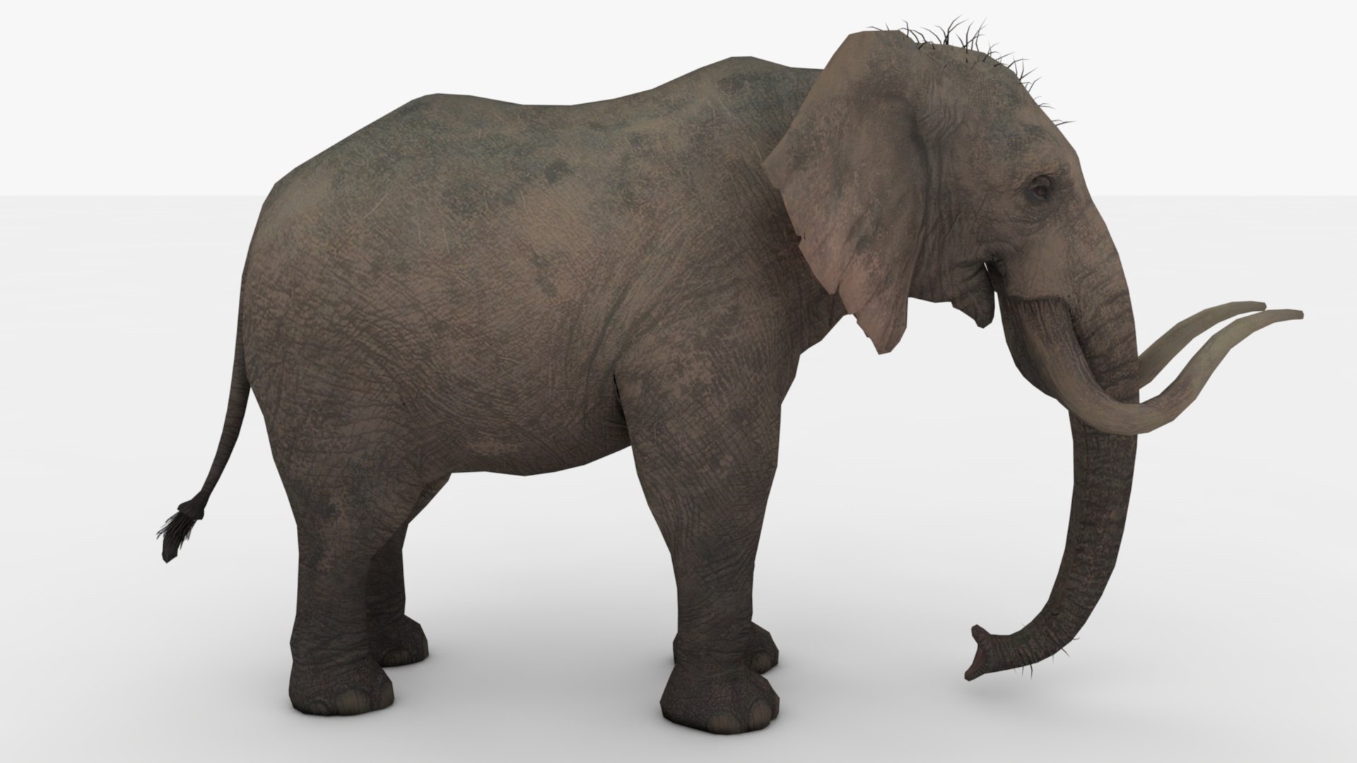 3D Elephant Model - TurboSquid 2366085