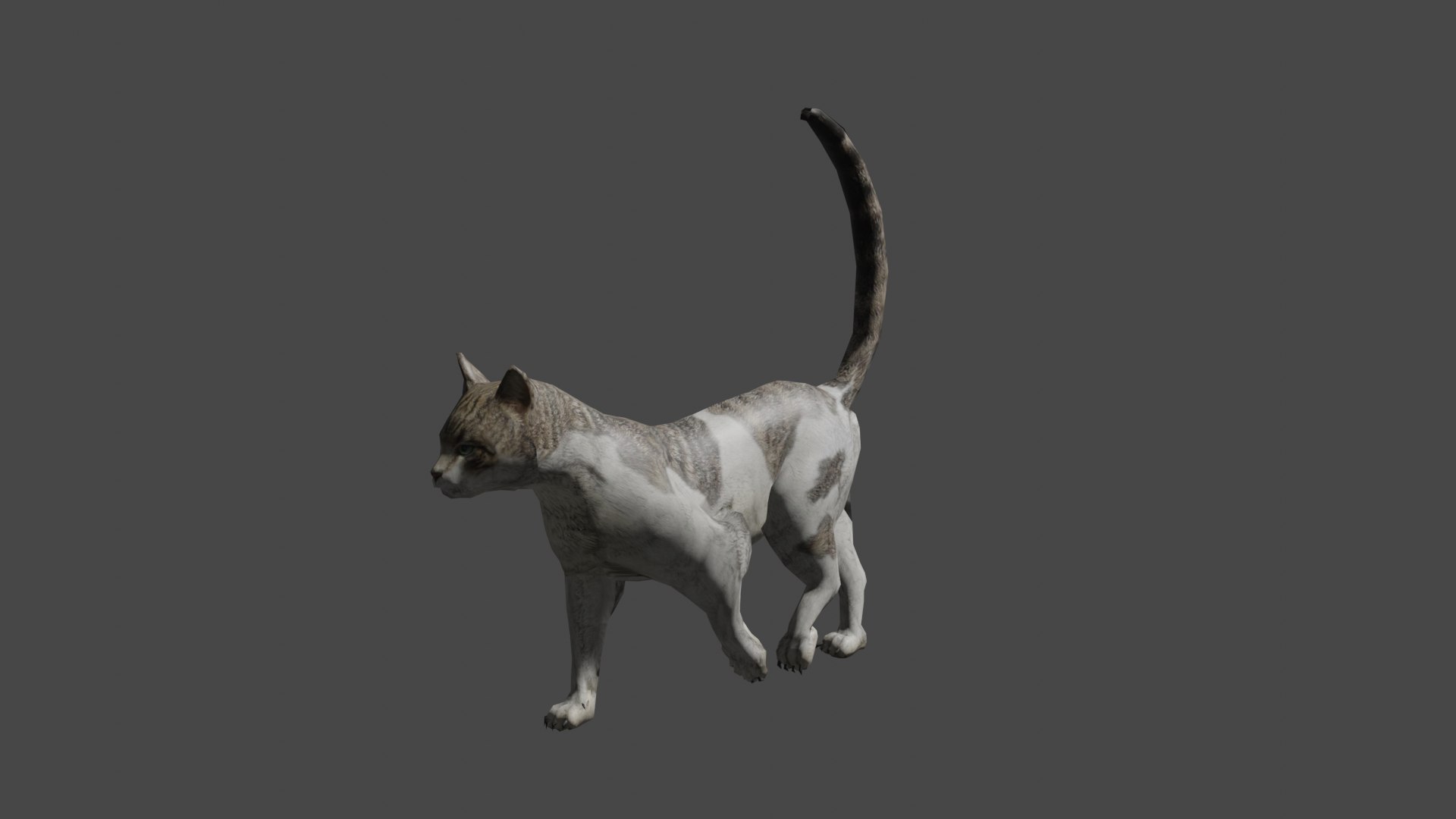 3D Model Realistic Animated Walking Cat 3D Model - TurboSquid 2333882