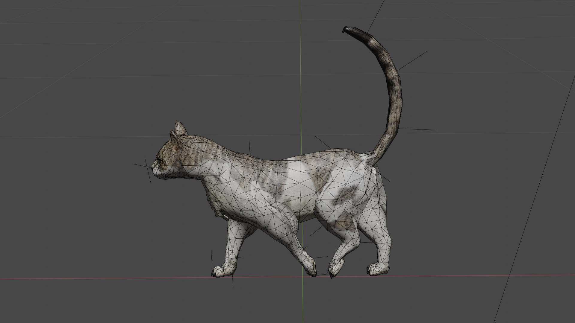 3D Model Realistic Animated Walking Cat 3D Model - TurboSquid 2333882