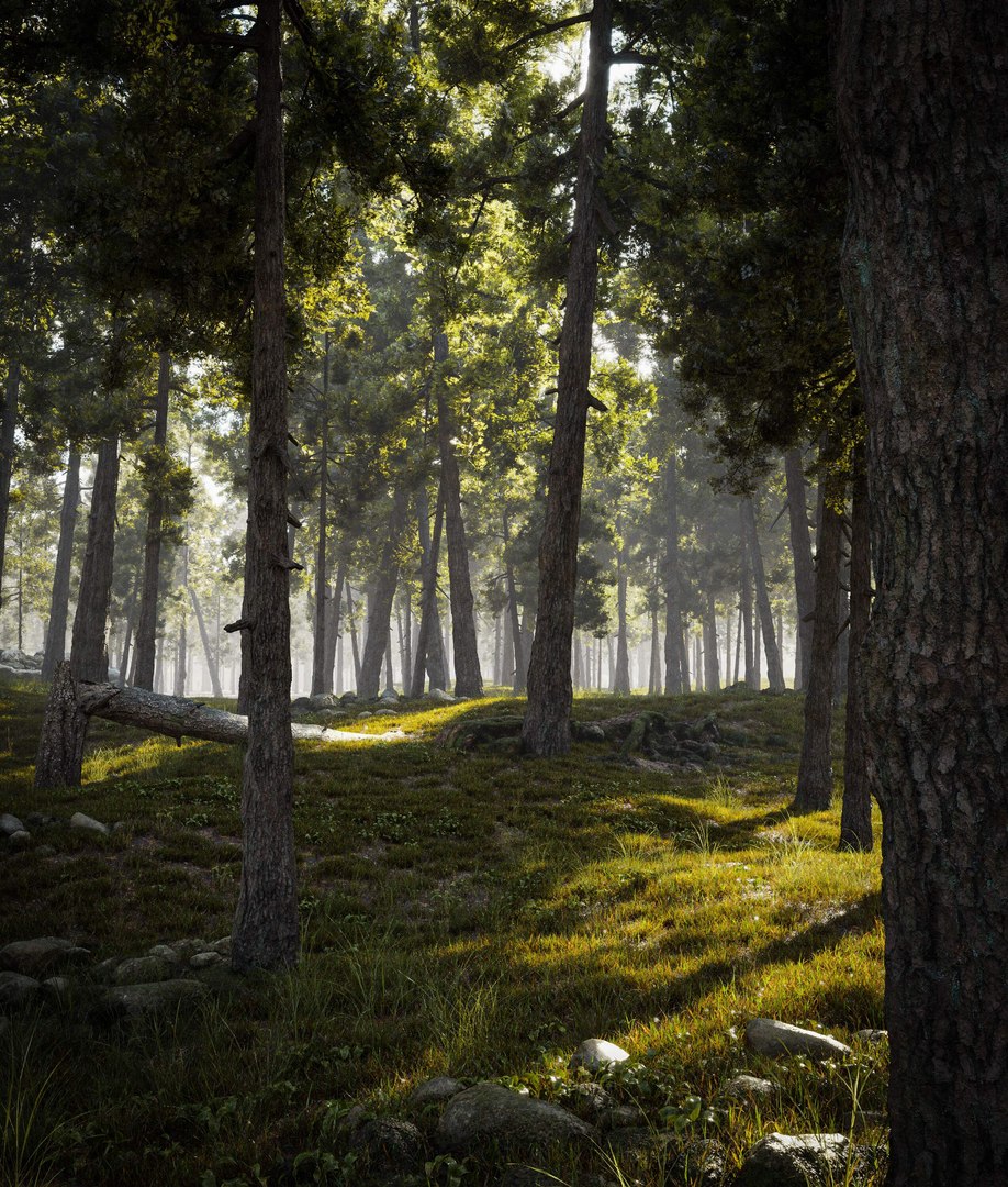 3D Pine Set - TurboSquid 1835275