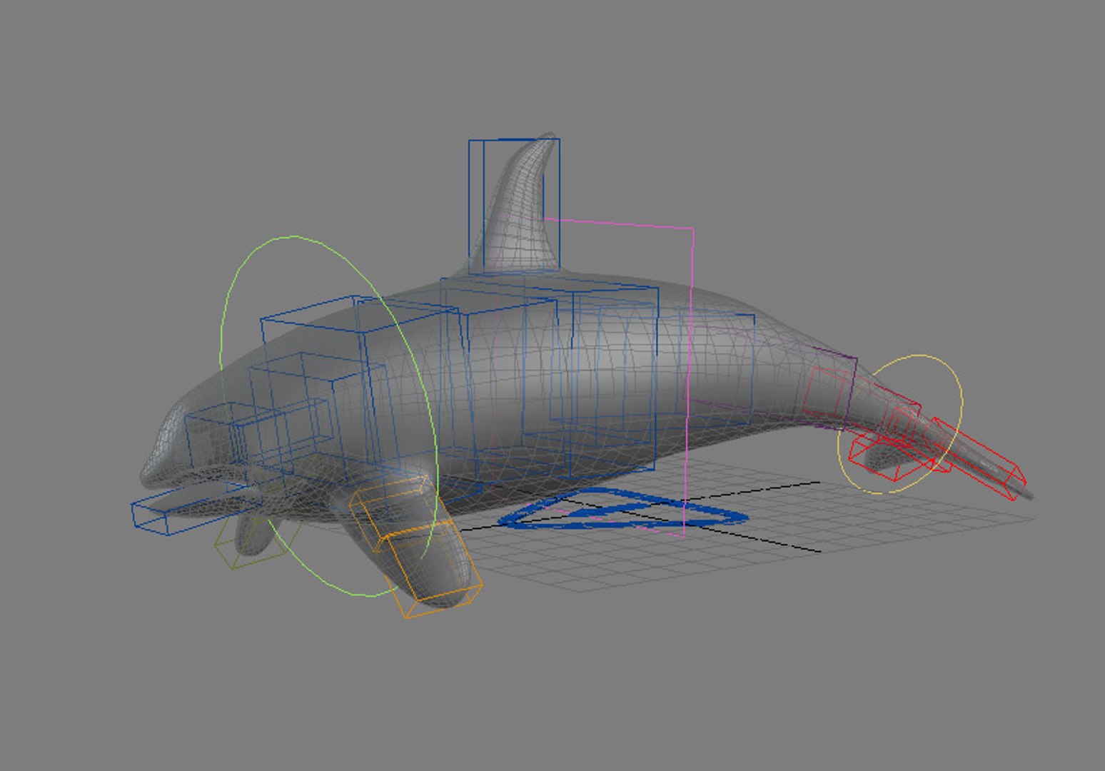 3d Model Killer Whale