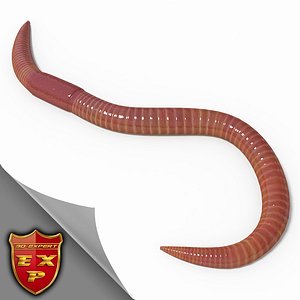 Worm 3D Models for Download | TurboSquid
