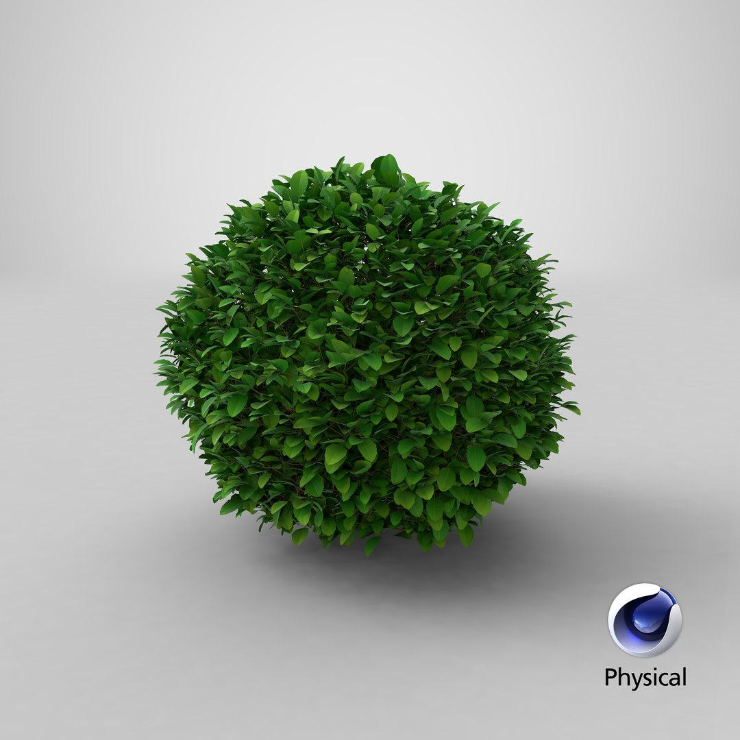 3D Cartoon Bush 11 - TurboSquid 1941430