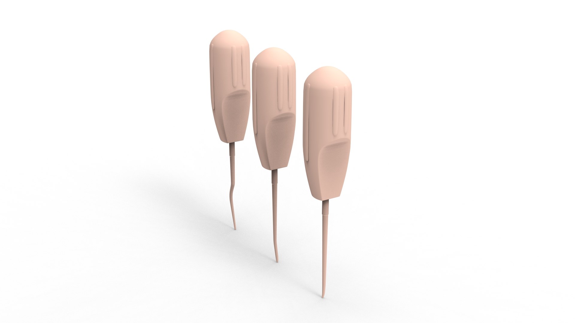 Peritome 3D Model - TurboSquid 2169000