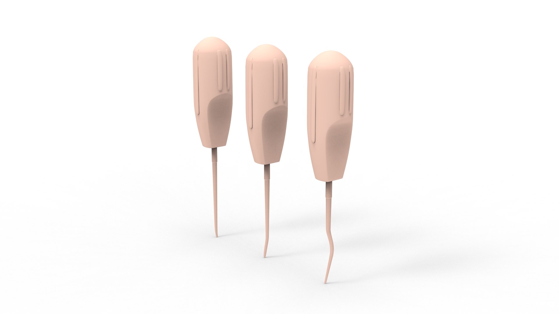 Peritome 3D Model - TurboSquid 2169000