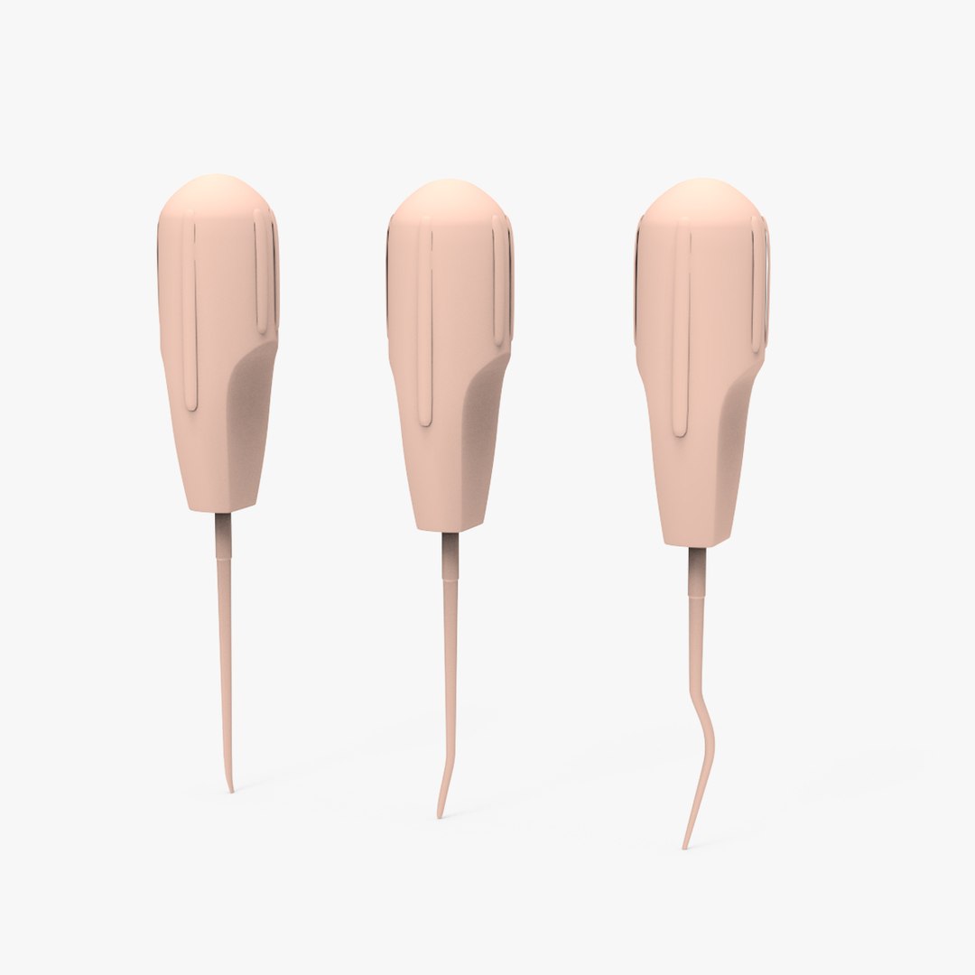 Peritome 3D Model - TurboSquid 2169000