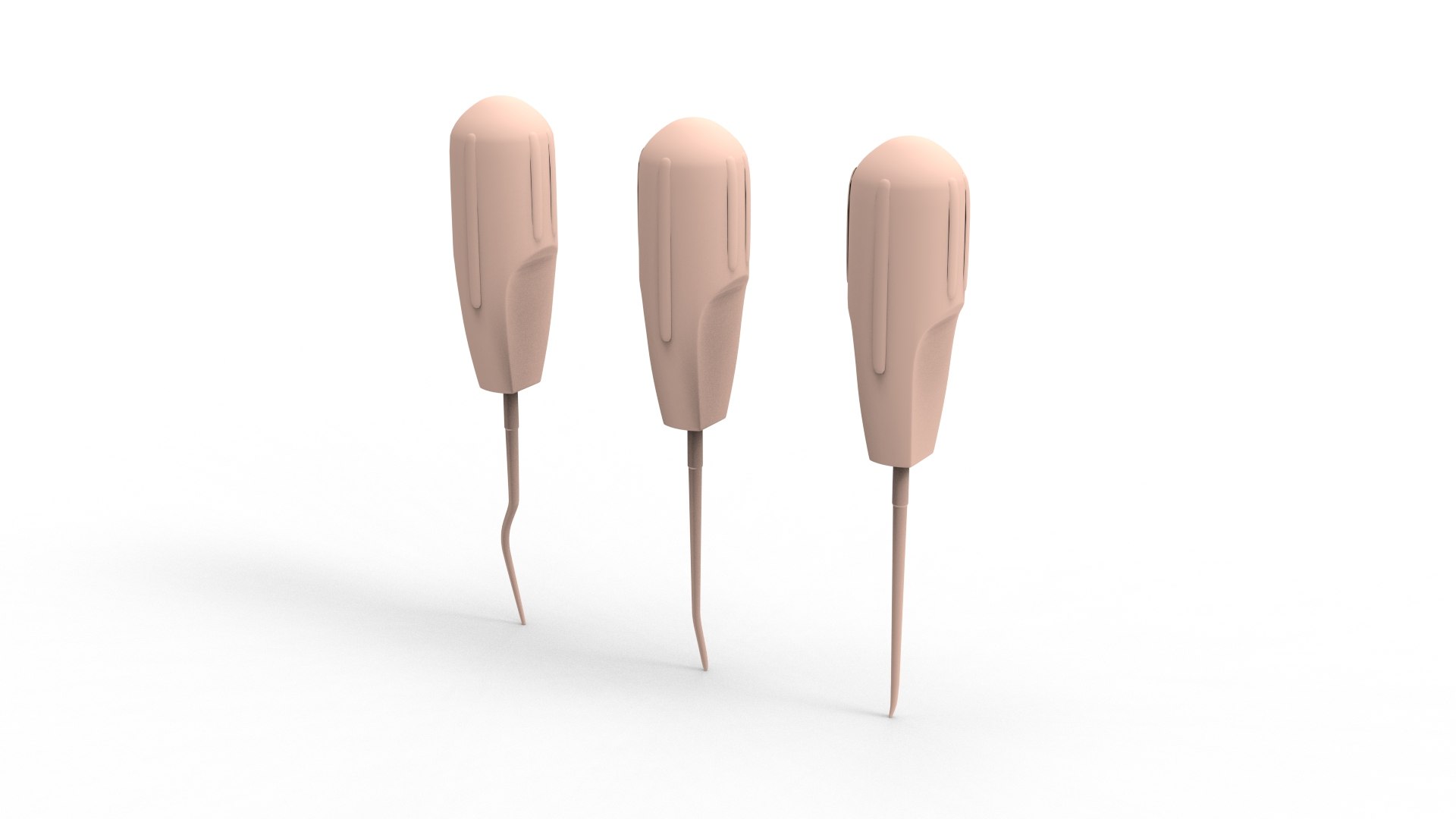 Peritome 3D Model - TurboSquid 2169000