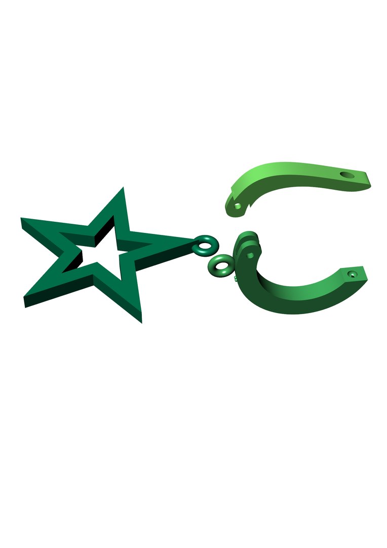 Star Earrings 3d 3dm