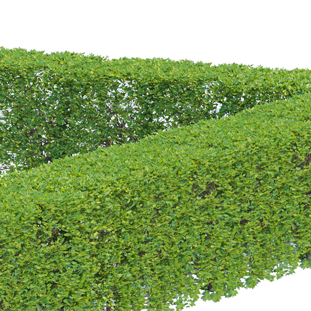 Bush Collection Vol 38 3D Model - TurboSquid 1950106