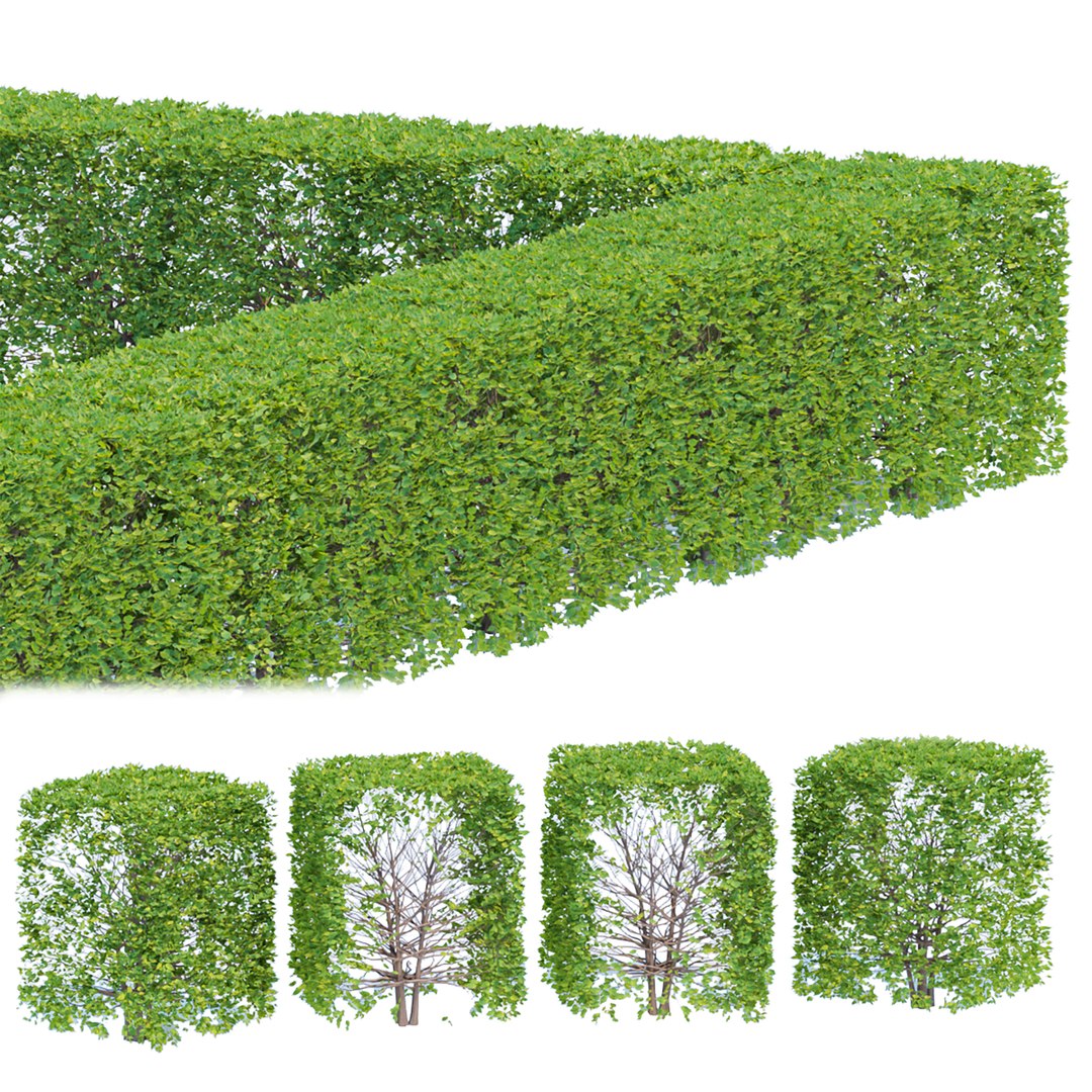 Bush Collection Vol 38 3D Model - TurboSquid 1950106