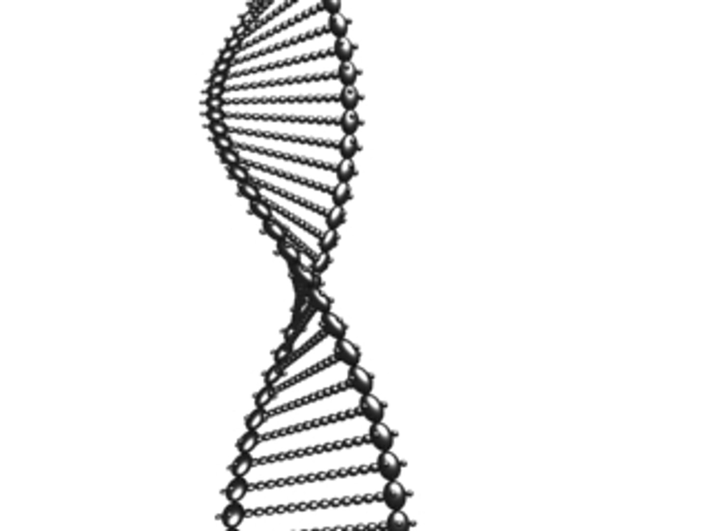 Dna Spinning 3d Max