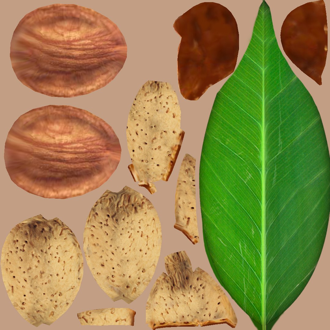 3d Model Almonds
