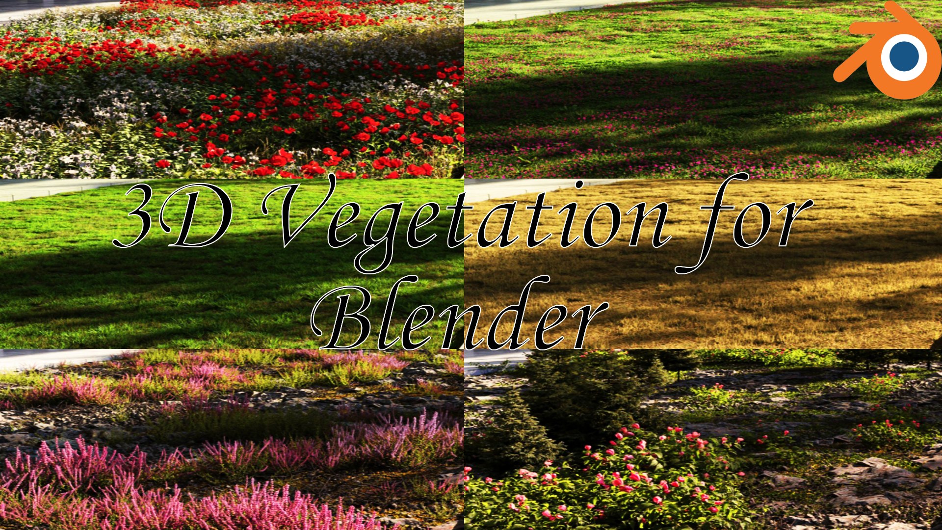 3D Grass For Blender 3D Model - TurboSquid 2257837