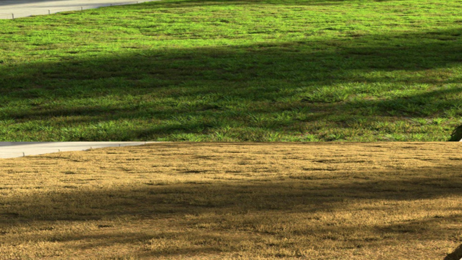 3D Grass For Blender 3D Model - TurboSquid 2257837