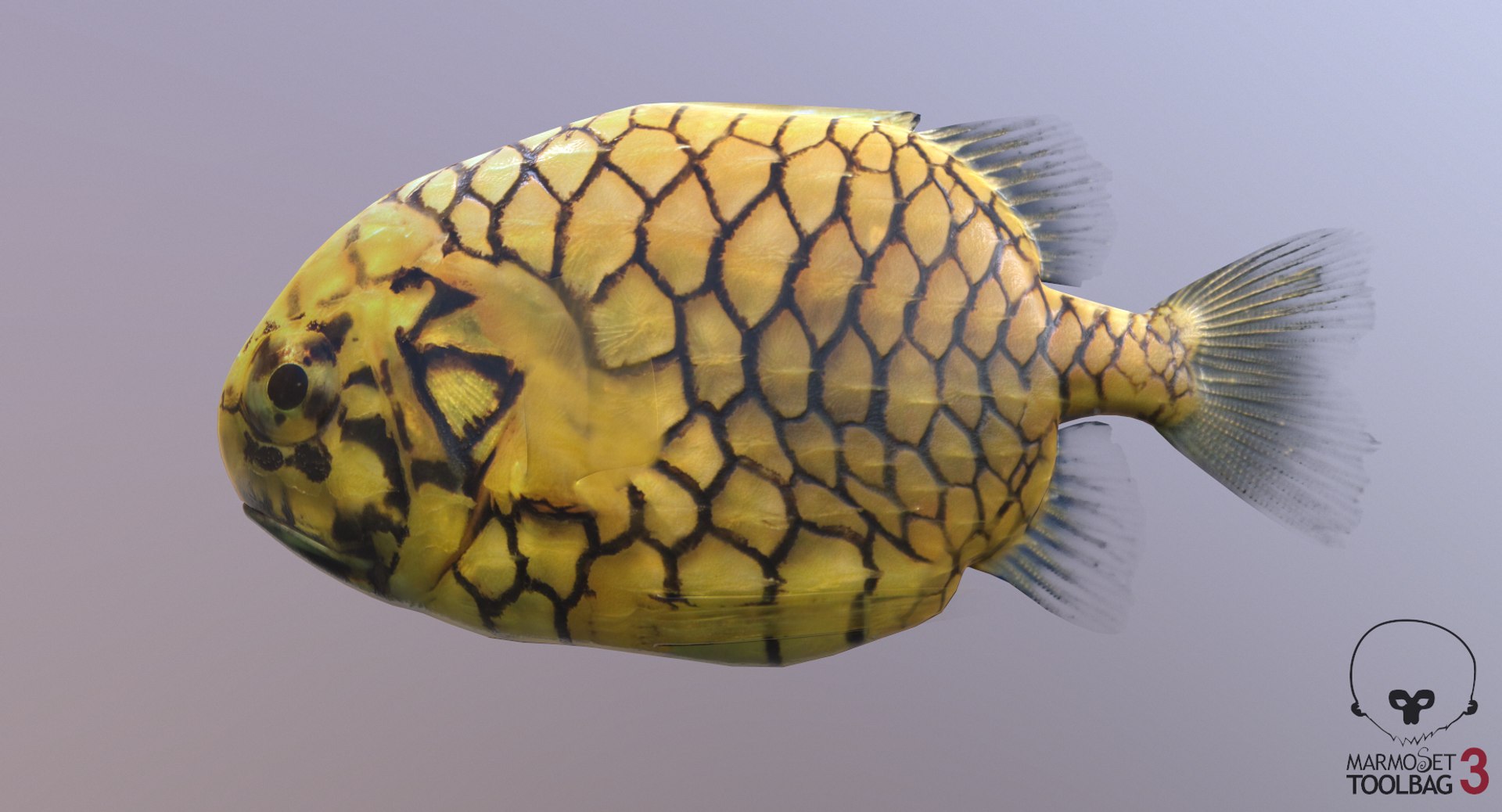Pineapple Fish Model - TurboSquid 1330288