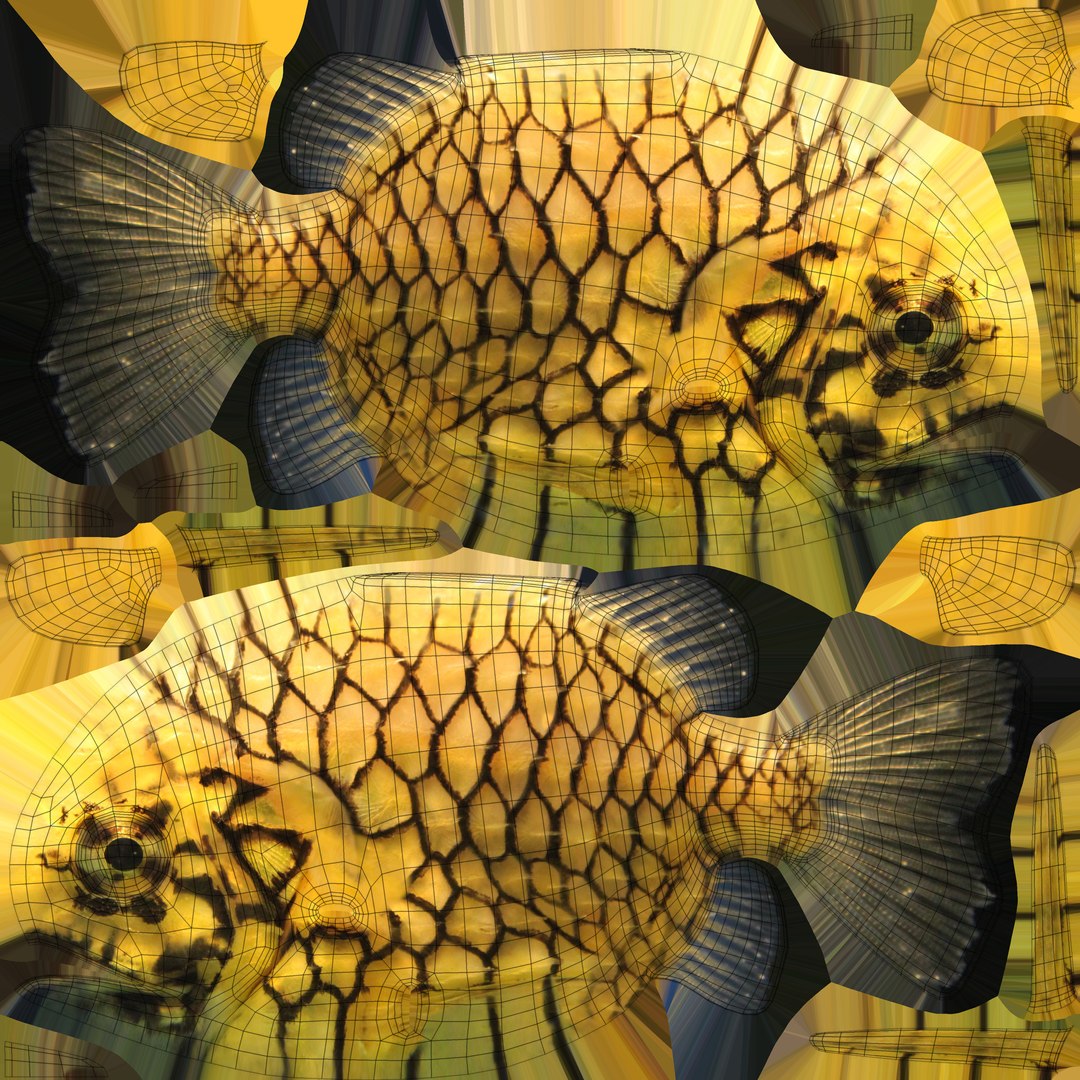 Pineapple Fish Model - TurboSquid 1330288