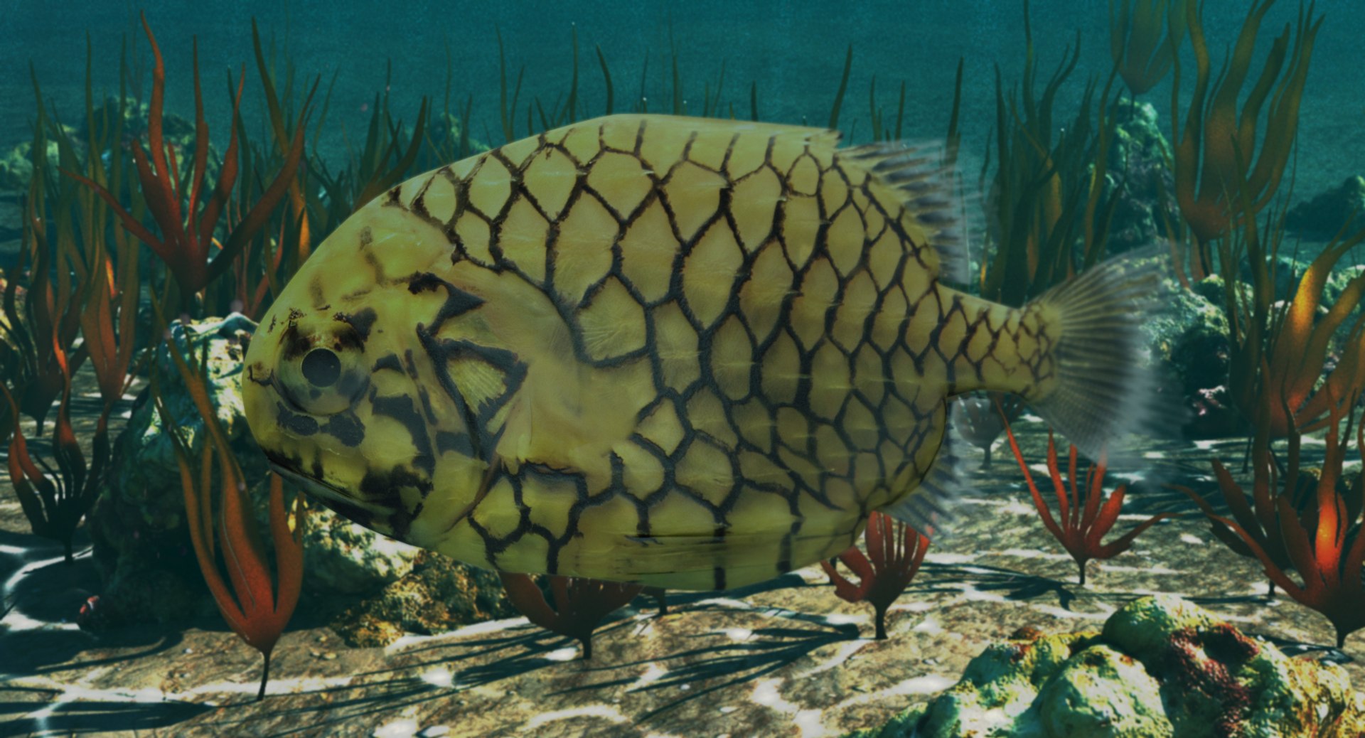 Pineapple Fish Model - TurboSquid 1330288