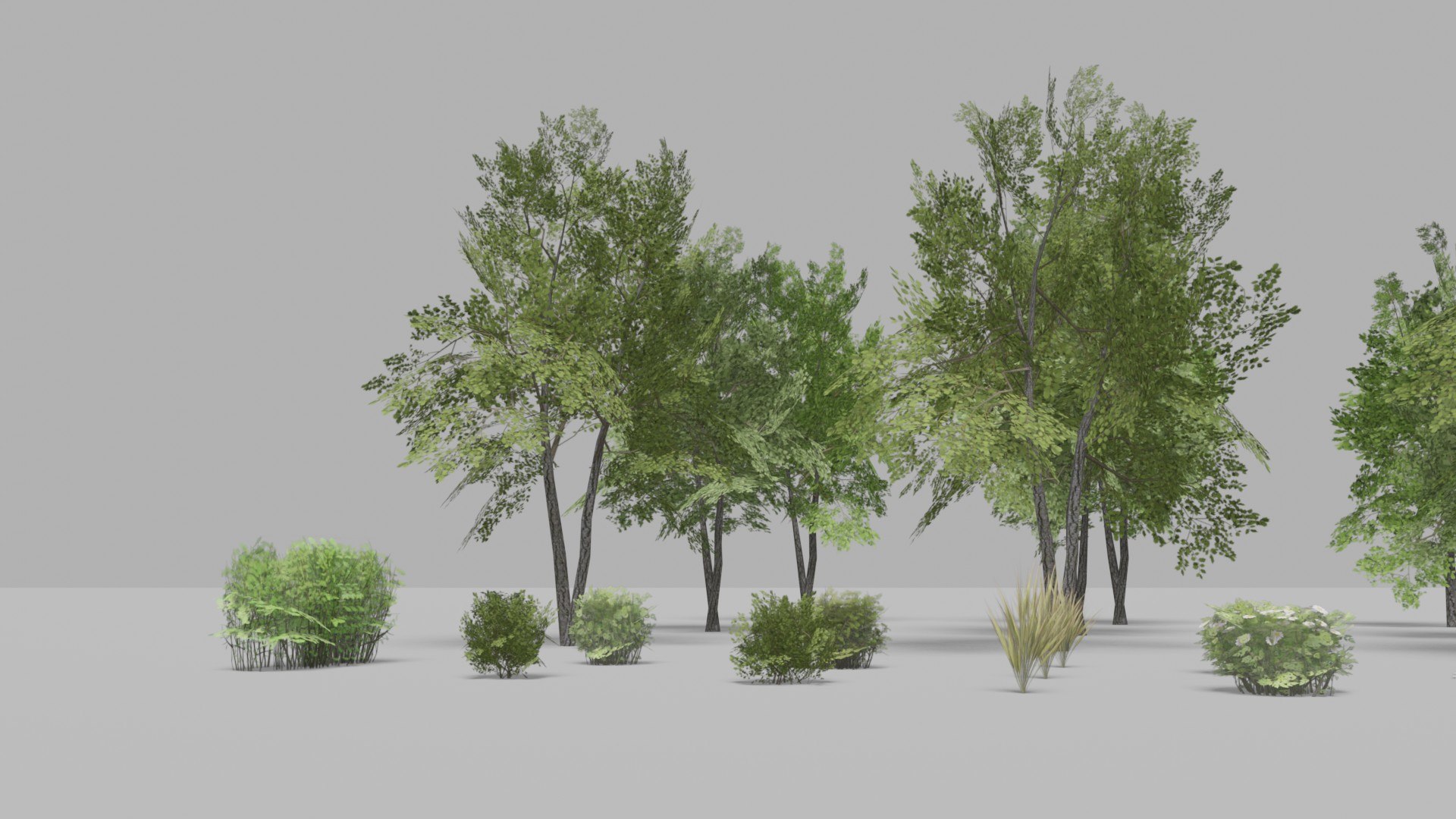 Free 3D Shapespark Low Poly Plants Kit - TurboSquid 1826978