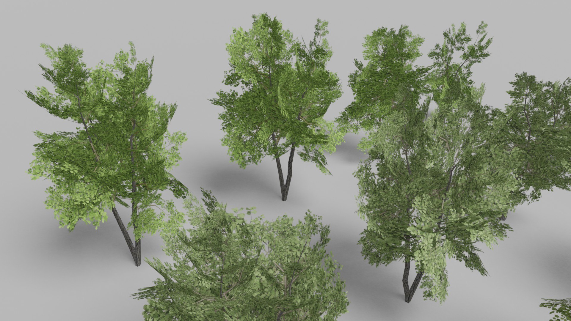 Free 3D Shapespark Low Poly Plants Kit - TurboSquid 1826978