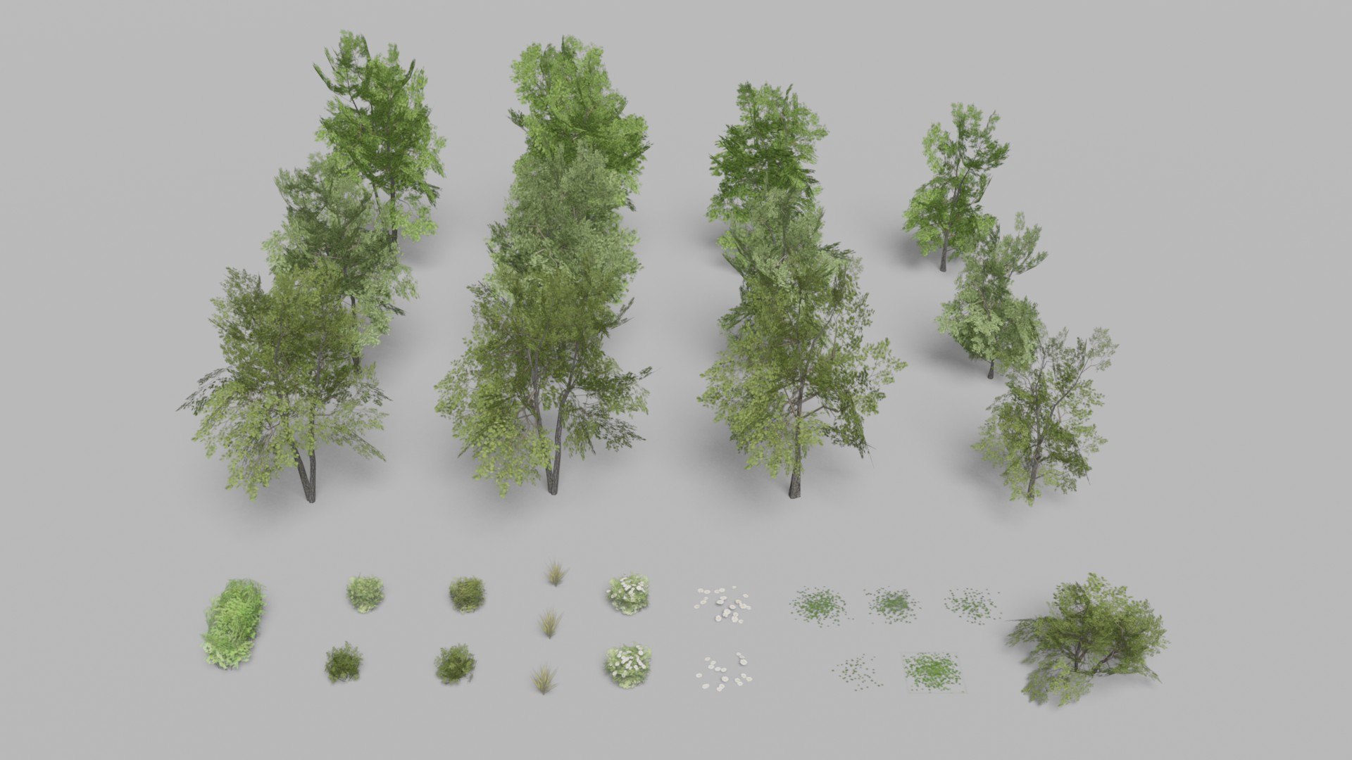 Free 3D Shapespark Low Poly Plants Kit - TurboSquid 1826978
