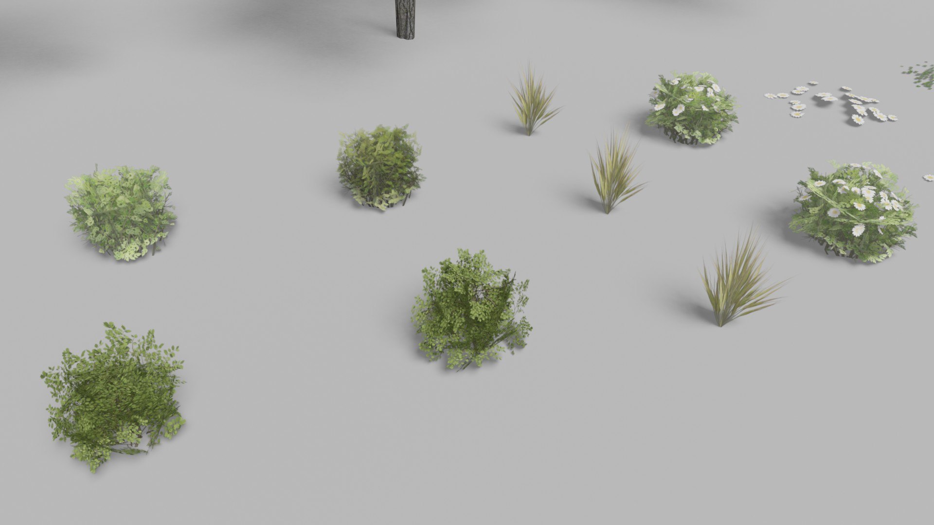 Free 3D Shapespark Low Poly Plants Kit - TurboSquid 1826978