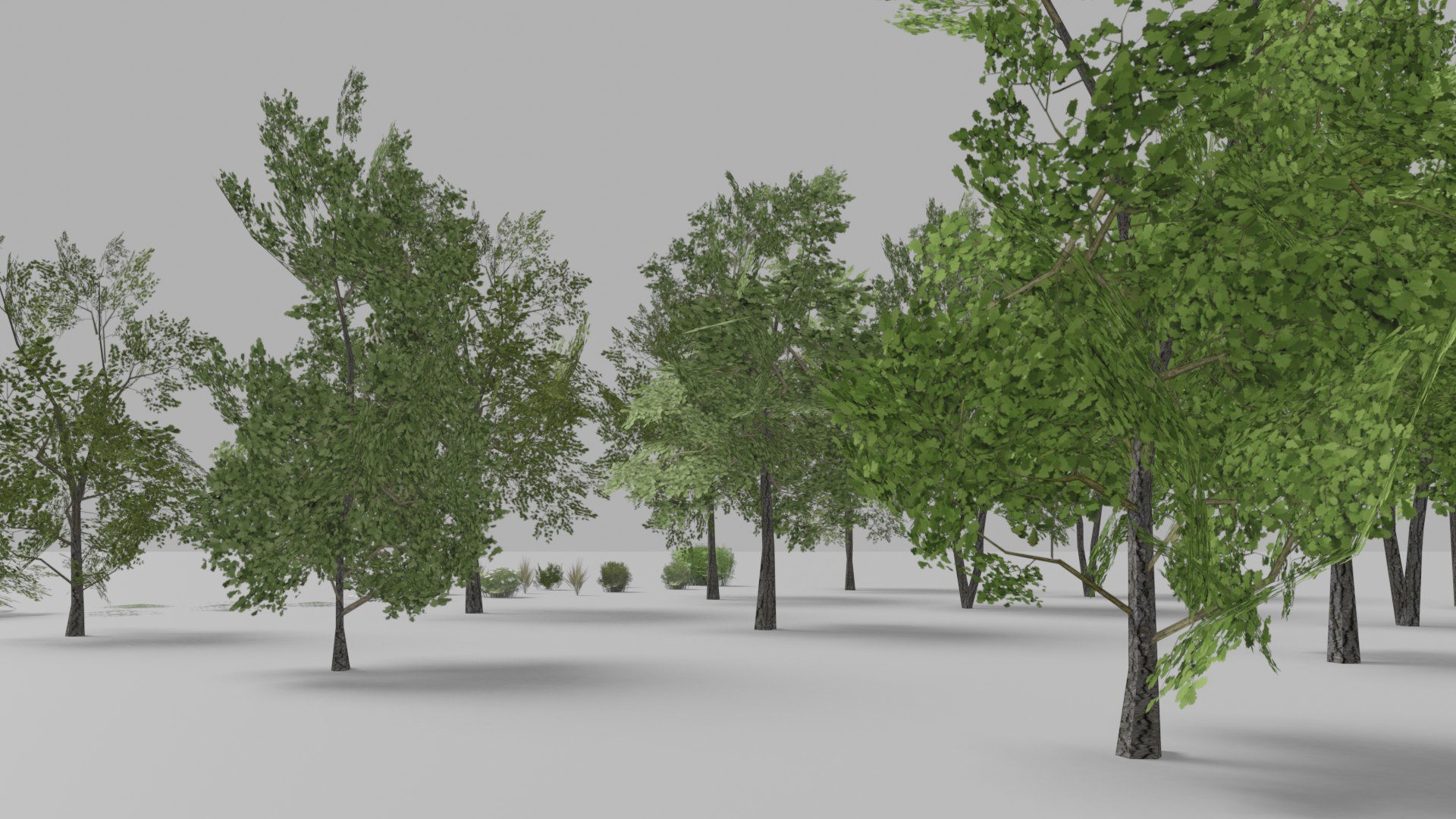 Free 3D Shapespark Low Poly Plants Kit - TurboSquid 1826978