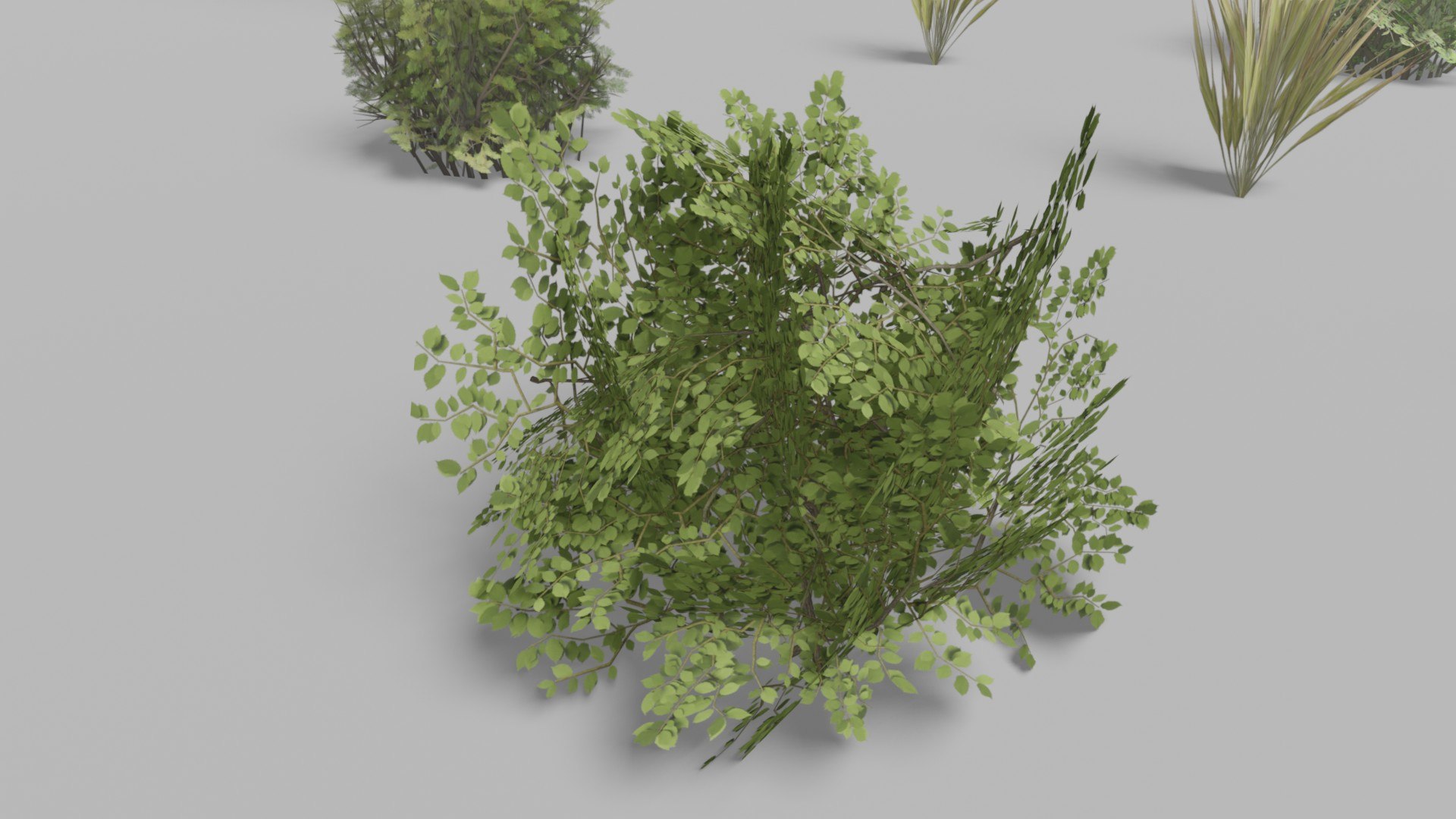 Free 3D Shapespark Low Poly Plants Kit - TurboSquid 1826978