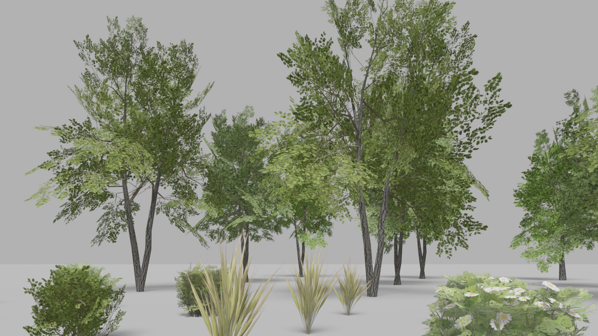 Free 3D Shapespark Low Poly Plants Kit - TurboSquid 1826978