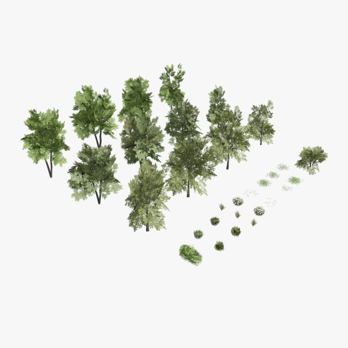 Free 3D Shapespark low poly plants kit - TurboSquid 1826978