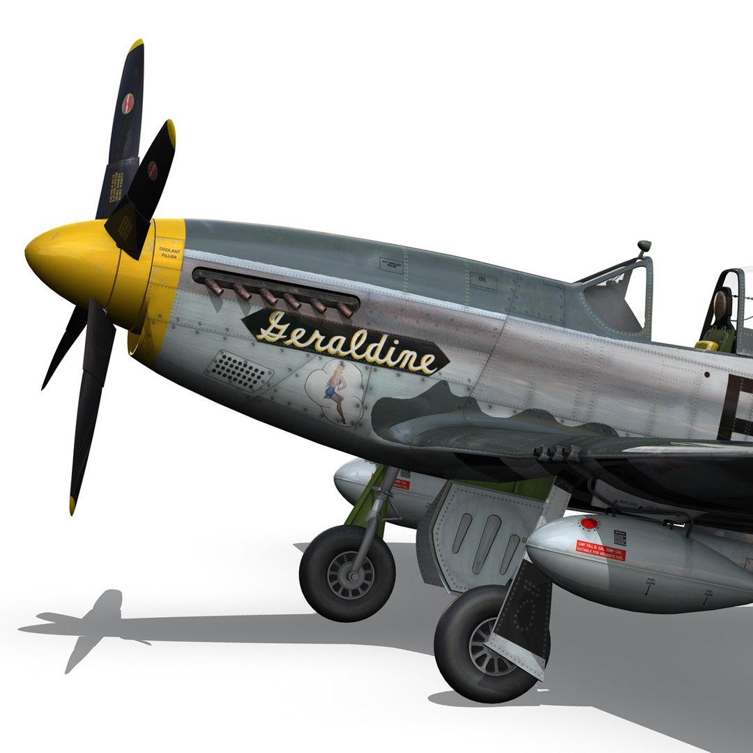 3d North American - Geraldine Model