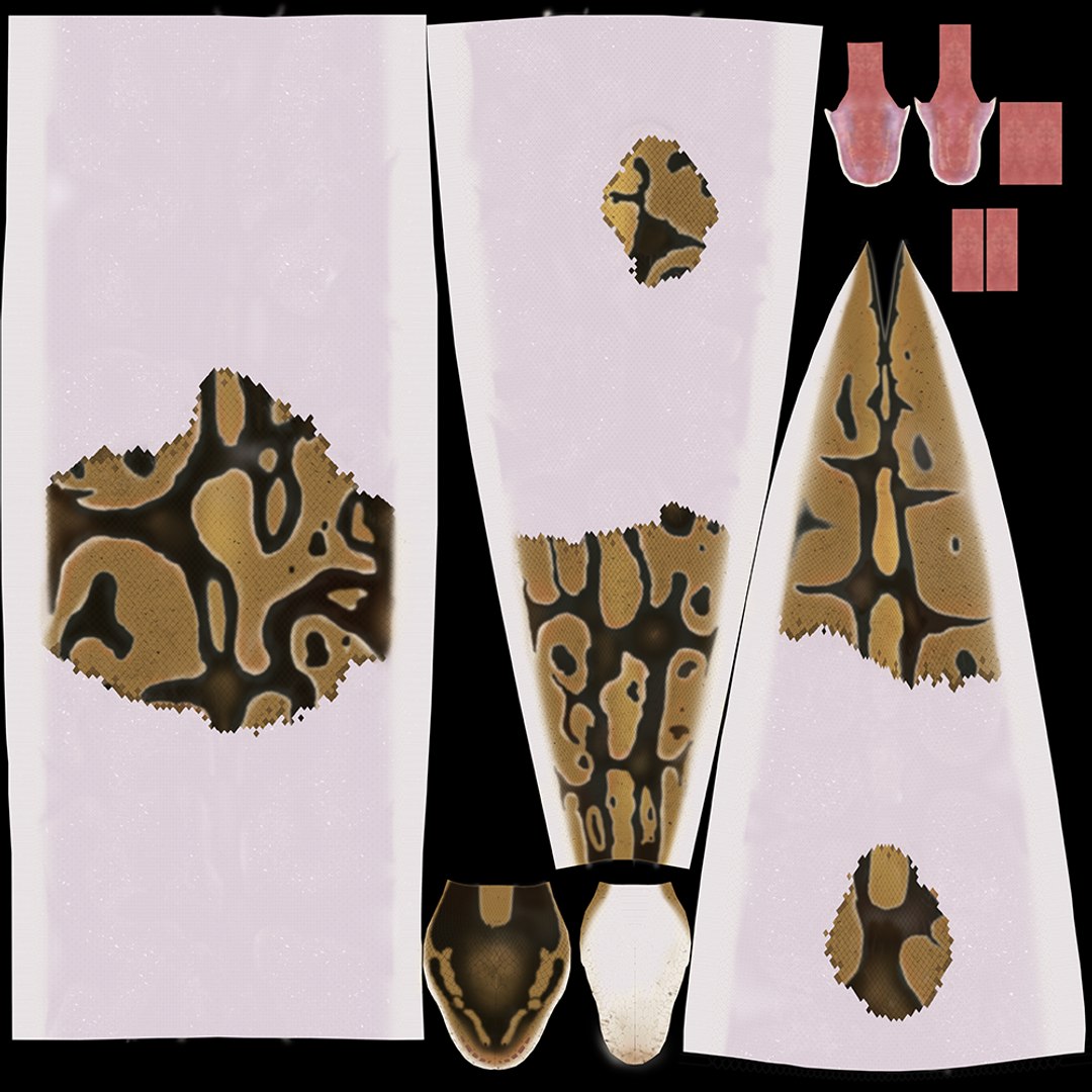 Pied Ball Python 3d Model